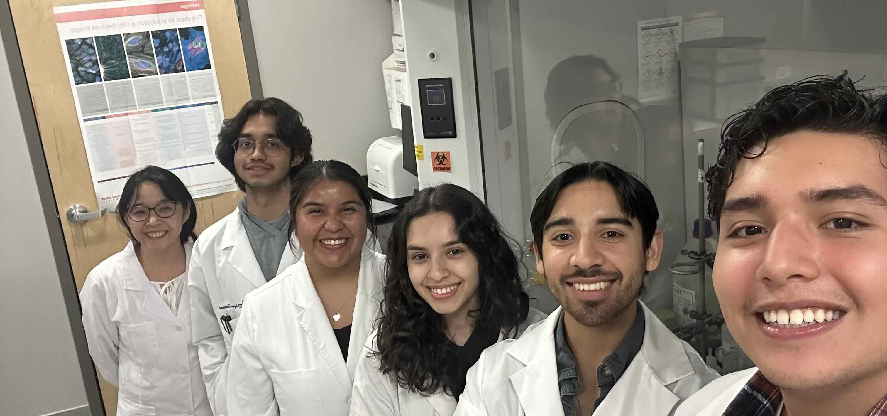 Home of Mito Group (lab)